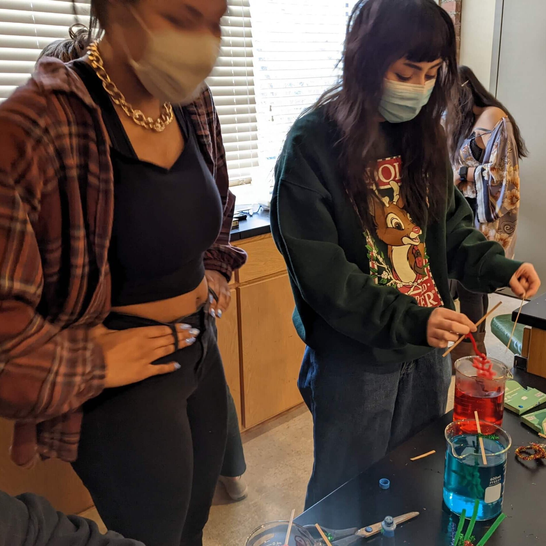 Ornaments! » Community High School