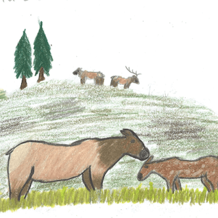 Ecosystem Storyboards » Community High School
