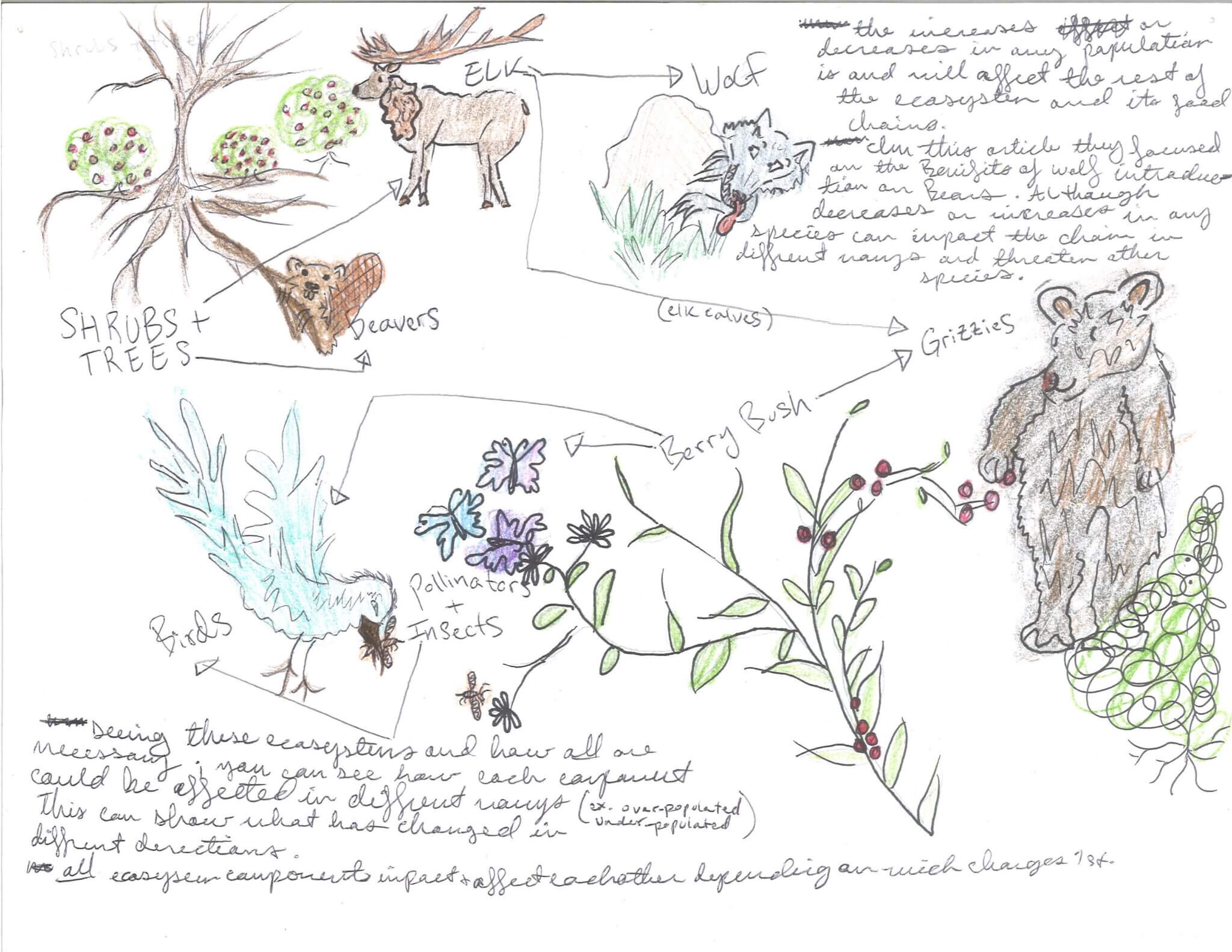 Ecosystem Storyboards » Community High School