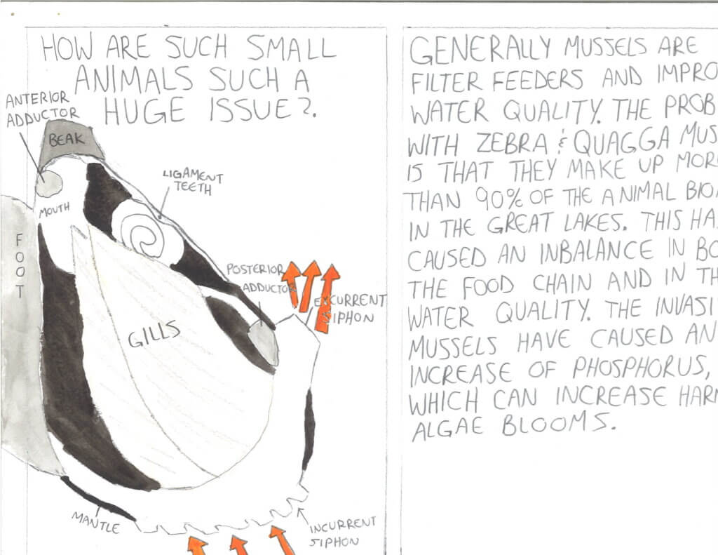 Ecosystem Storyboards » Community High School
