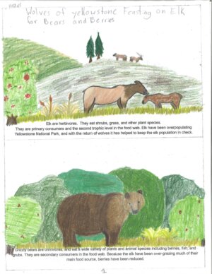 Ecosystem Storyboards » Community High School