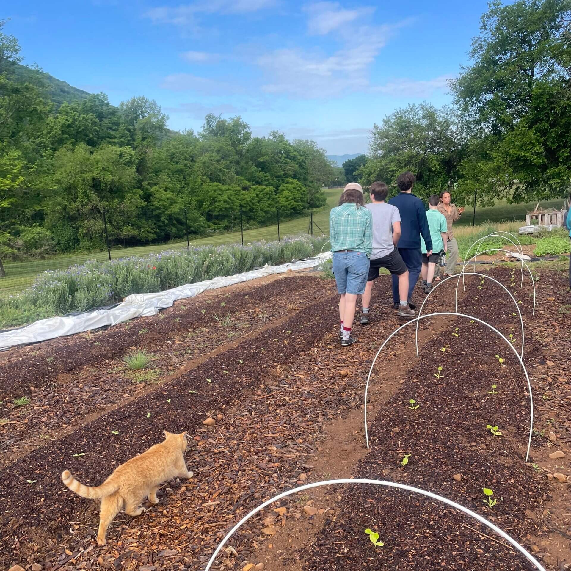 Morningside Urban Farm » Community High School